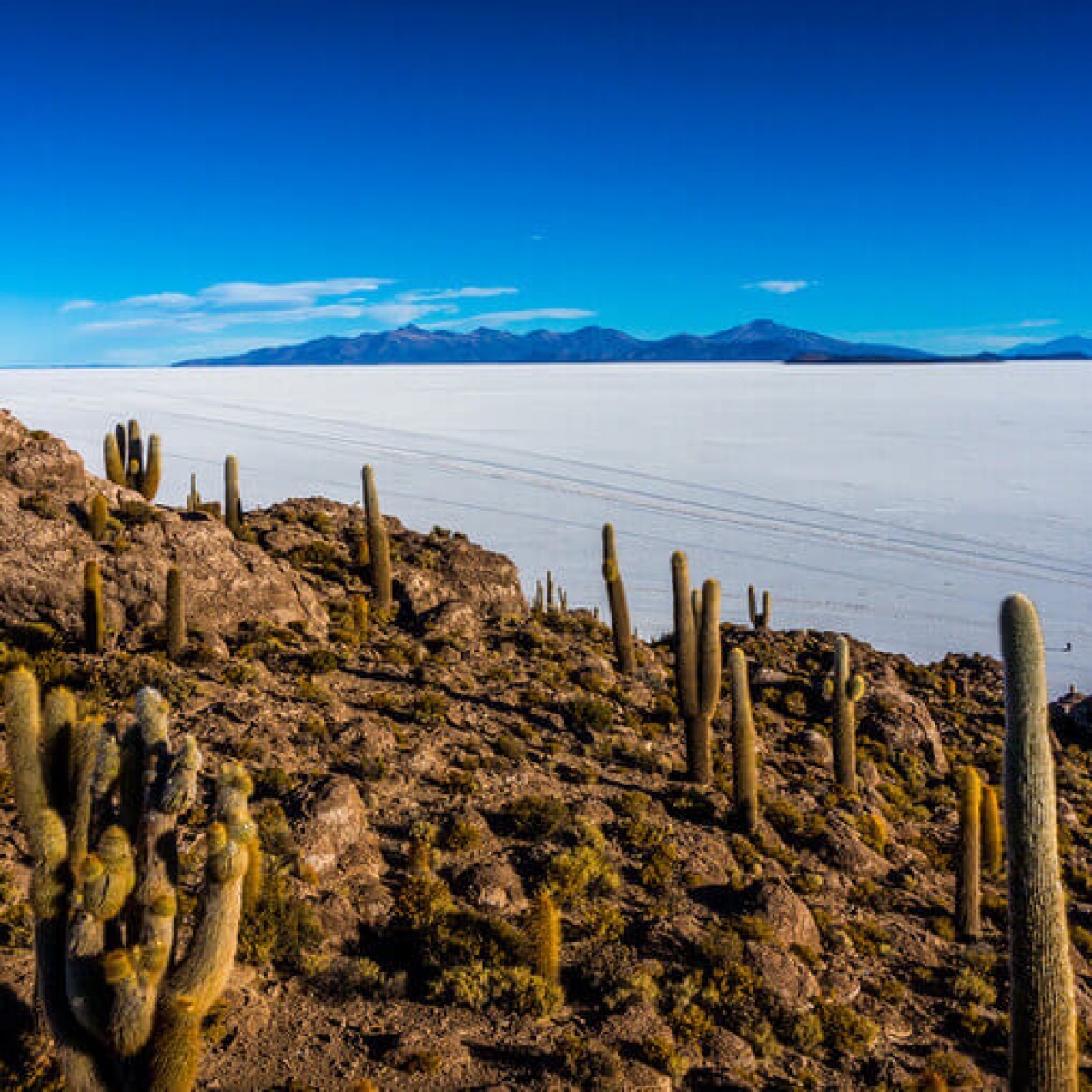 Tour de día completo salar de Uyuni - Ruta Verde Tours