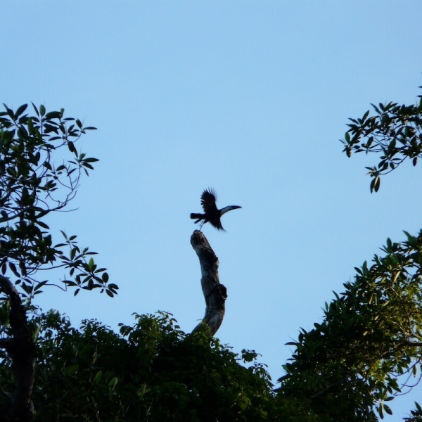 Parque Nacional Amboró - Ruta Verde Tours