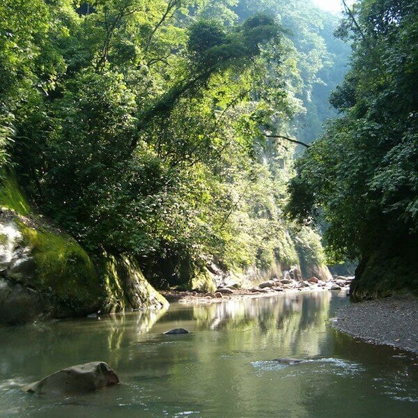 Amboro National Park - Ruta Verde Tours