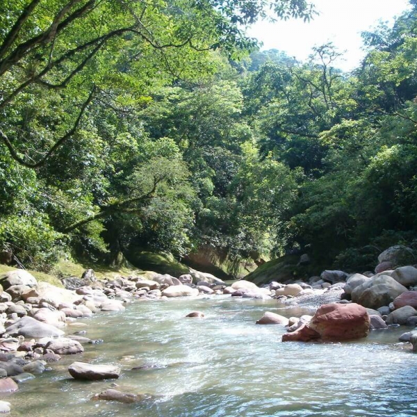 Amboro National Park - Ruta Verde Tours
