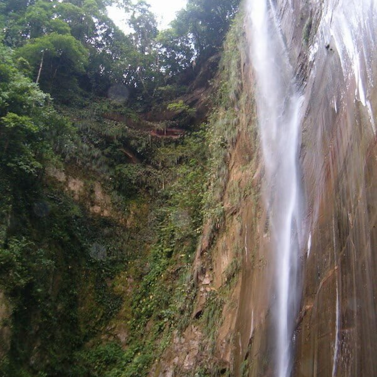 Amboro National Park - Ruta Verde Tours