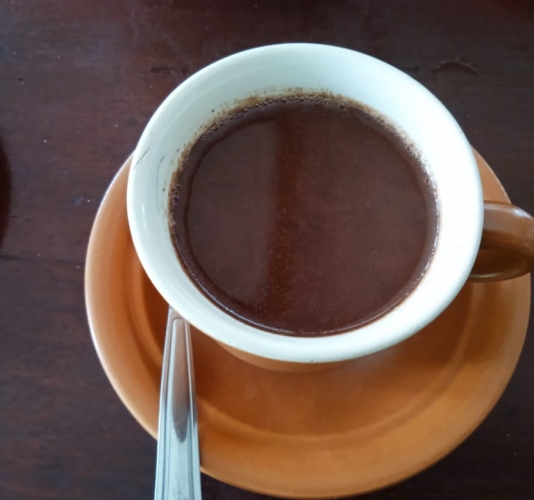 Amazonian Bolivian wild chocolate - Ruta Verde Tours