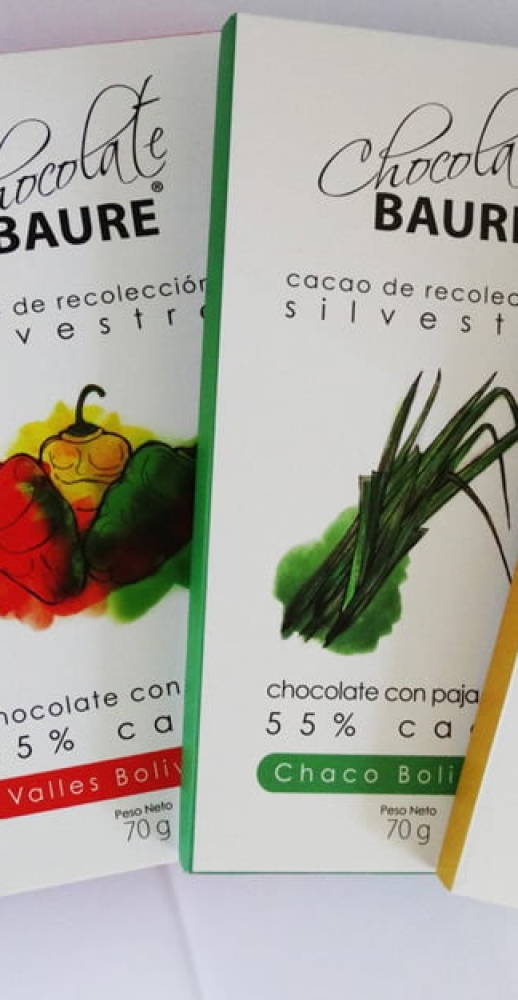 Amazonian Bolivian wild chocolate - Ruta Verde Tours