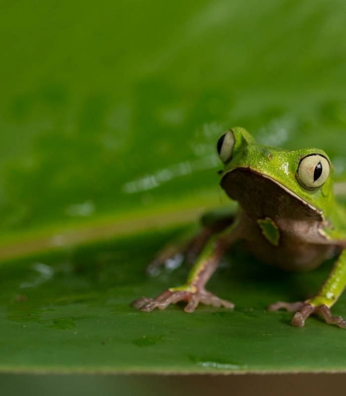 Madidi Jungle Ecolodge tour - Ruta Verde Tours