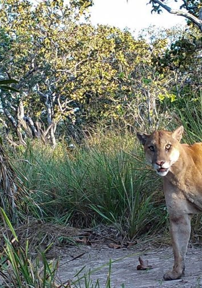 Biodiversity of Bolivia - Ruta Verde Tours