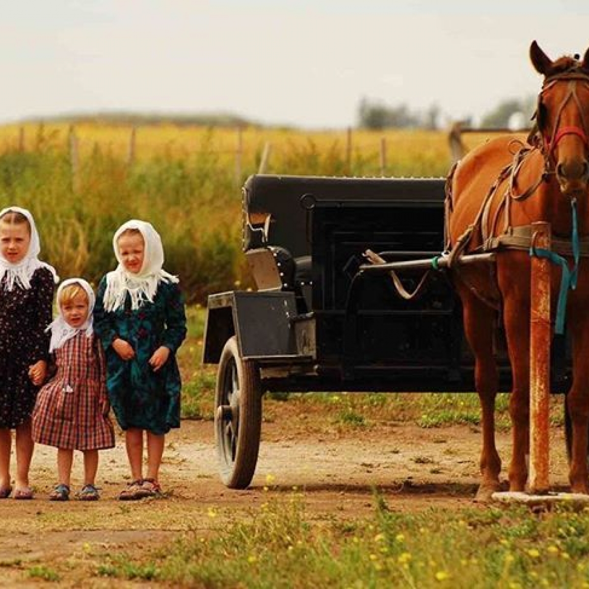 Mennonites tour - Ruta Verde Tours