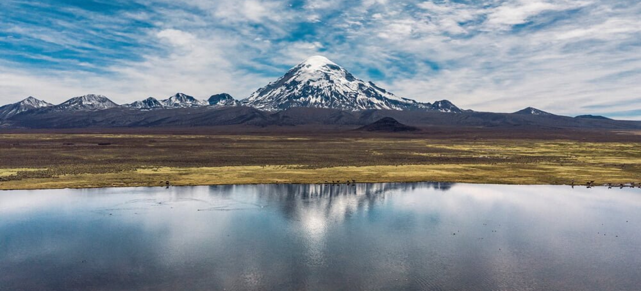 Parque Nacional Sajama - Ruta Verde Tours