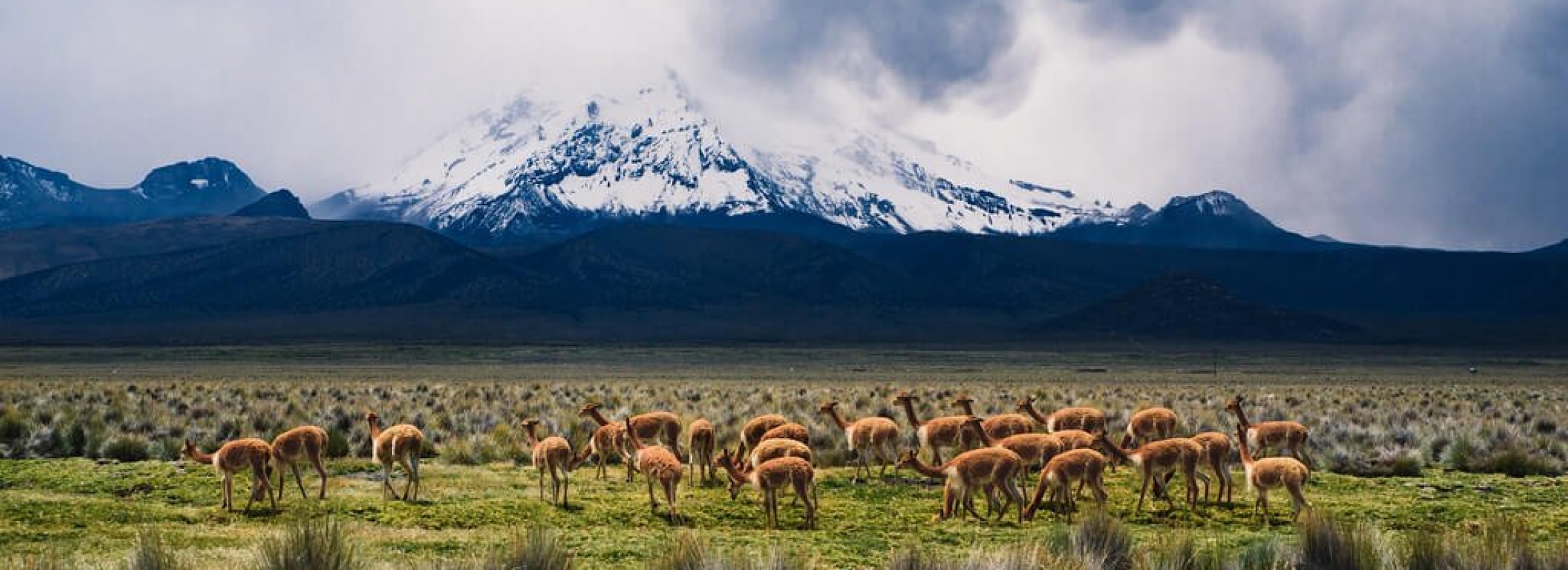 High altitude in Bolivia - Ruta Verde Tours
