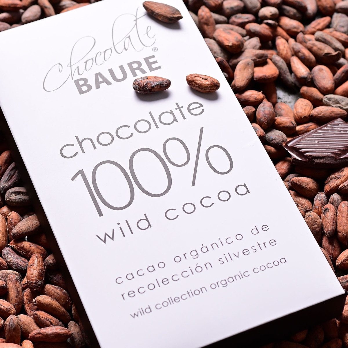 Amazonian Bolivian wild chocolate - Ruta Verde Tours