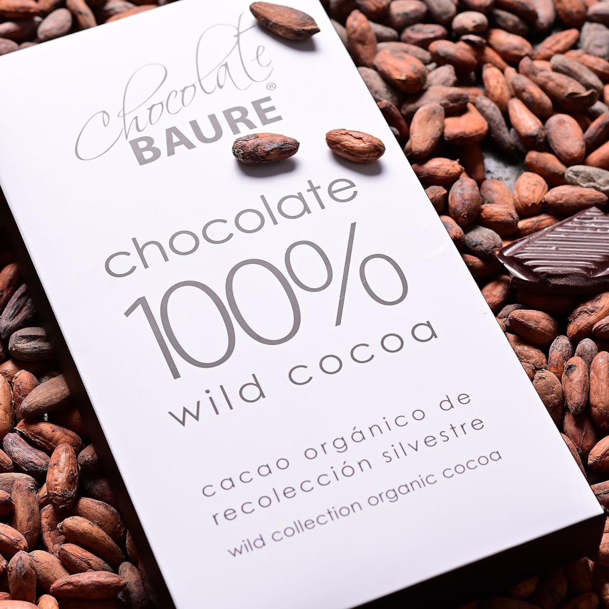 Amazonian Bolivian wild chocolate - Ruta Verde Tours