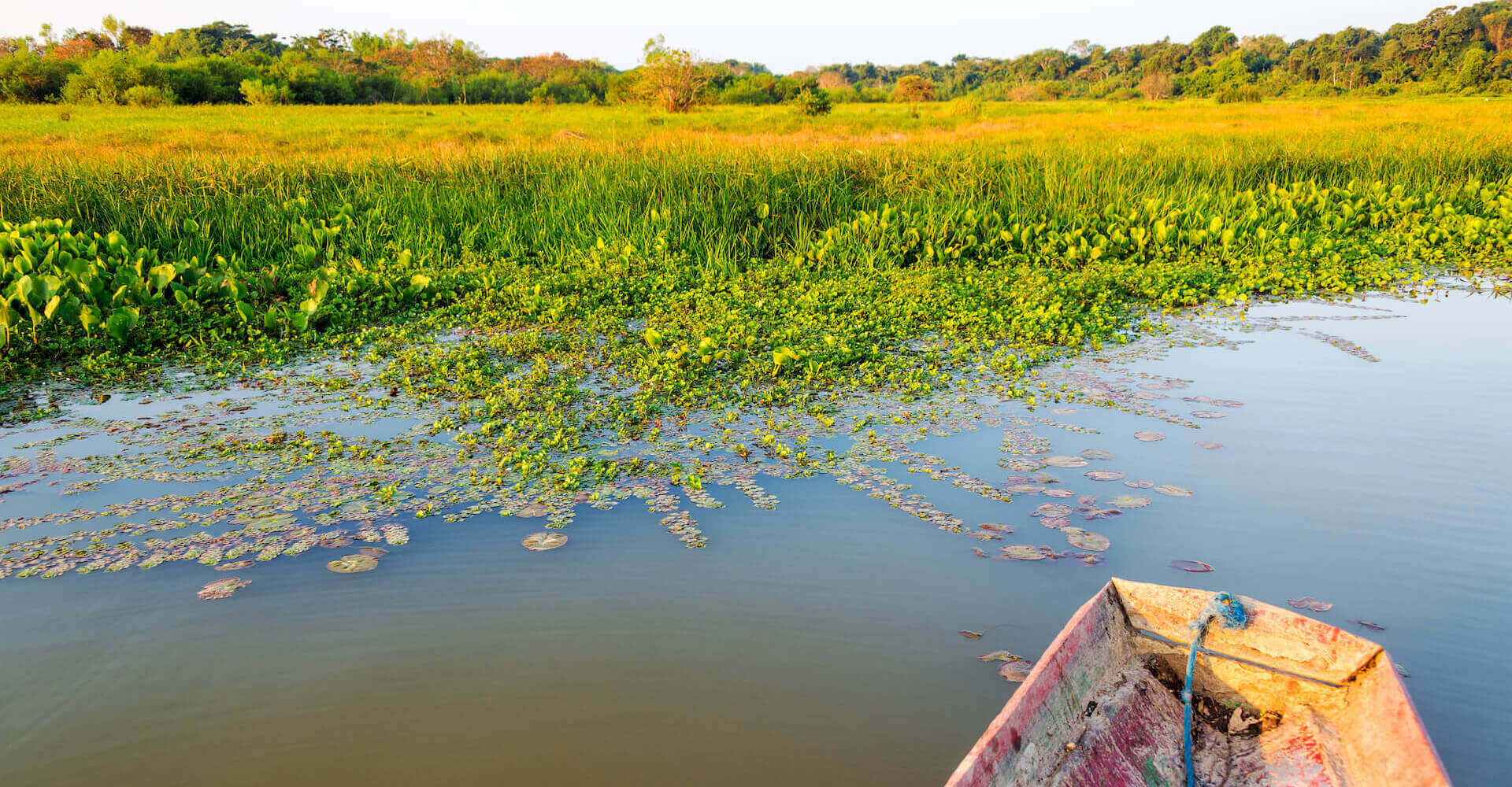 Chalalan Ecolodge Madidi National Park - Rurrenabaque - Ruta Verde Tours