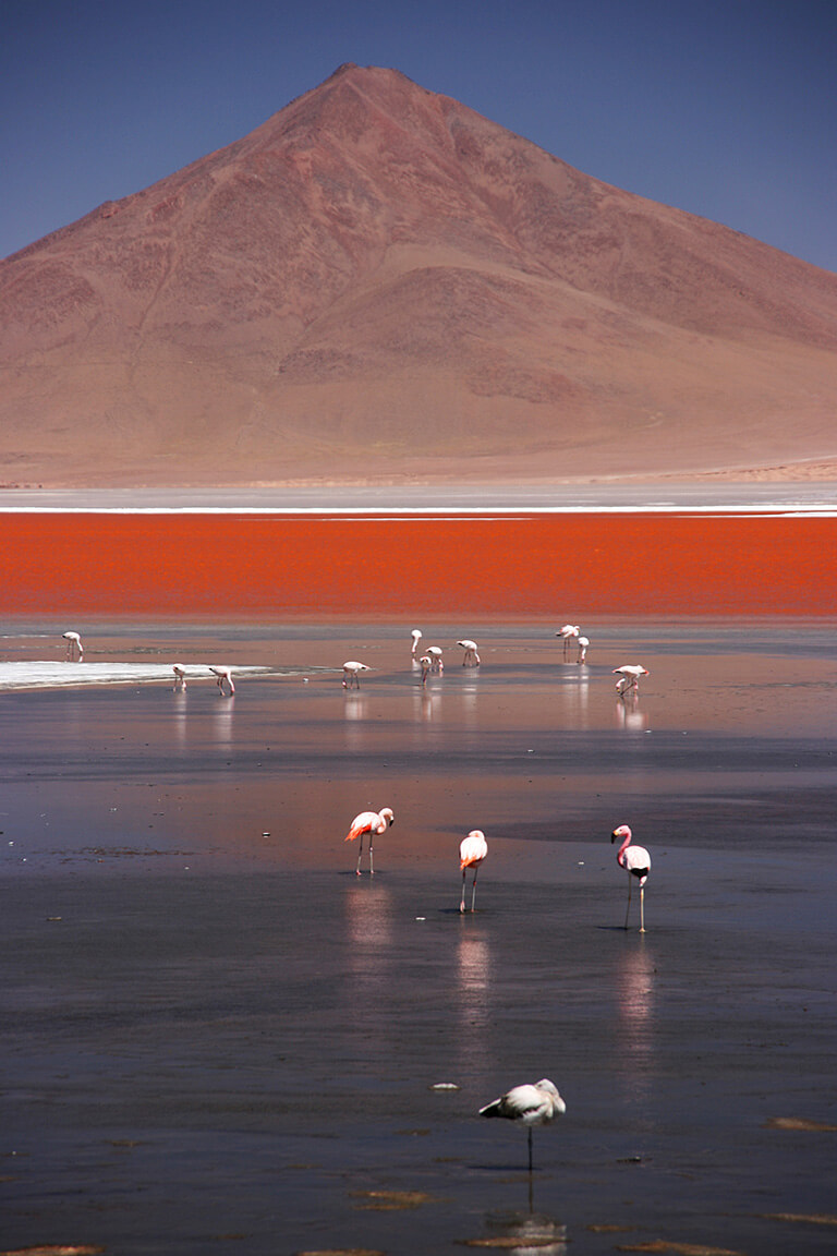 High altitude in Bolivia - Ruta Verde Tours